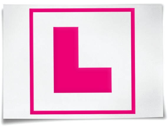 Hen Night L Plate Iron On T-Shirt Transfer Learner Pink Party