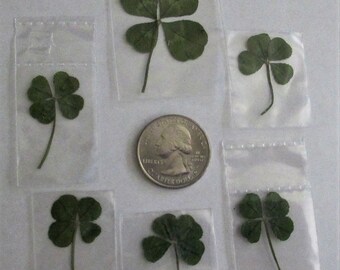 4 leaf clover | Etsy