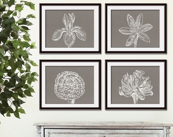 Modern Succulent Botanicals Set of 4 Art Prints Featured