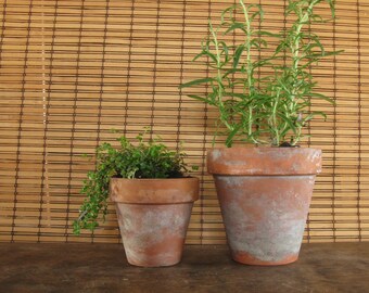 Terracotta pot | Etsy