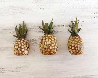 Miniature pineapple | Etsy