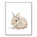 Bunny Rabbit Art Bunny Rabbit Print. Bunny Rabbit Watercolor