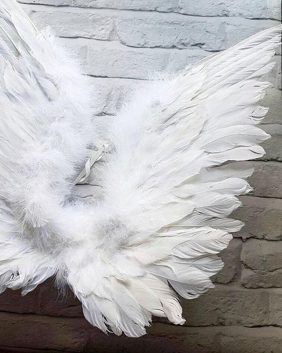 Feather angel wings feathered wingsbirthdaybird wings