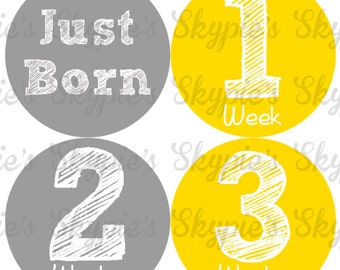 PRINTABLE DIY Monthly Baby Stickers or Iron On Transfers