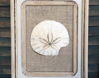Sand dollar art | Etsy