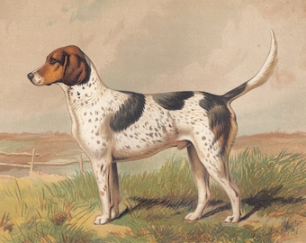 Antique dog prints | Etsy
