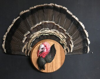 Turkey fan mount | Etsy