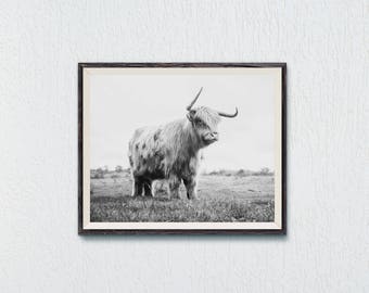Bull print | Etsy