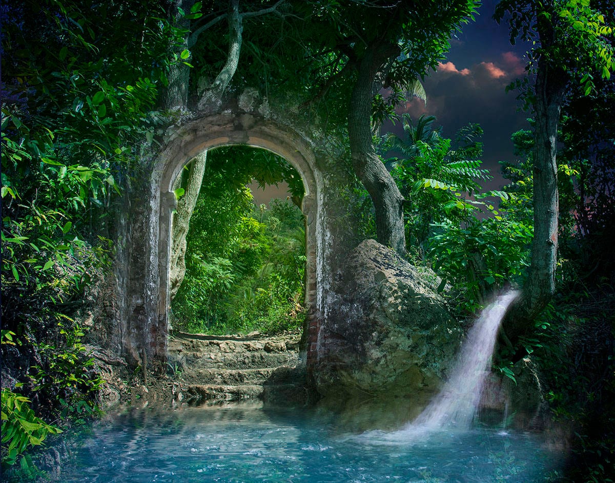 Whimsical Forest Background