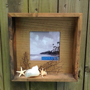 Seashell display box | Etsy