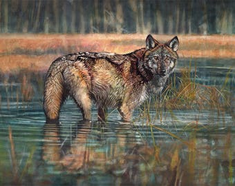 Wildlife Painting: The Timber Wolf original painting