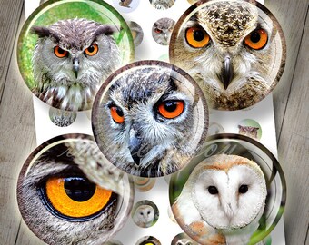 Owl collage sheet | Etsy