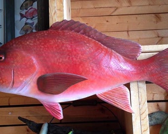 Red Snapper Art Print Fish Drawings Saltwater Fish Fishing