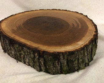 Large wood slice | Etsy