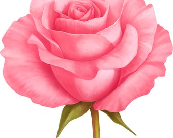 Pink roses decals | Etsy