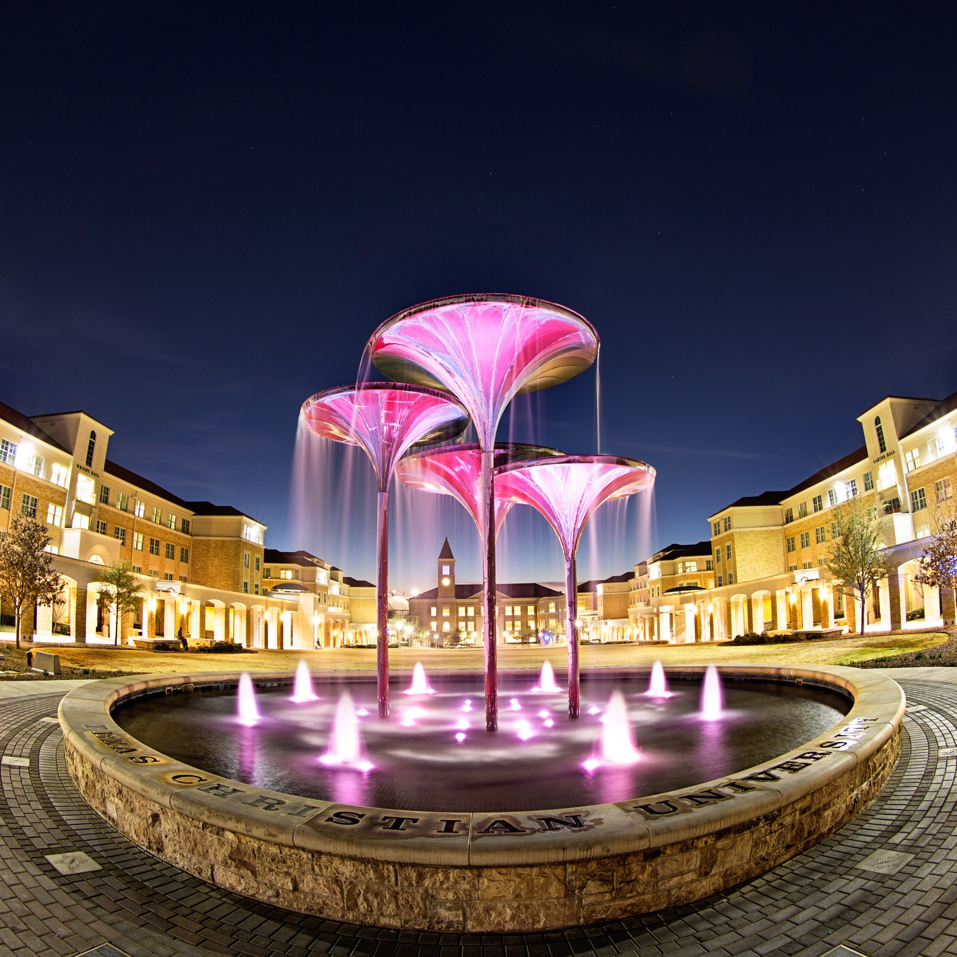TCU Frog Fountain