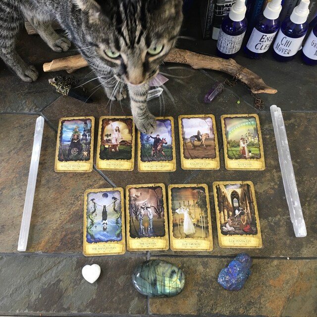 Owner: Jasmeine Moonsong by JasmeineMoonsong on Etsy